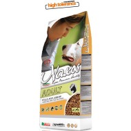 Online Pet Shop Dr Doggy